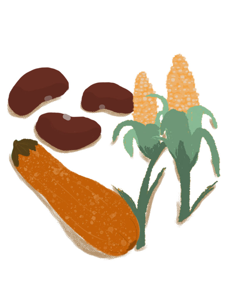 The Inhabitants – Etzanoa Conservancy